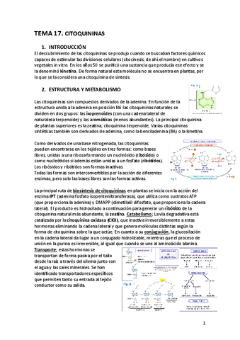 TEMA-17-FV.pdf