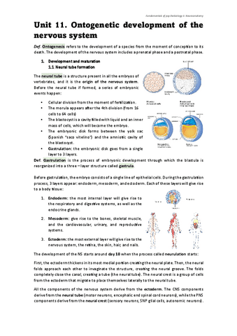 Unit-11.-Ontogenetic-development-of-the-nervous-system.pdf