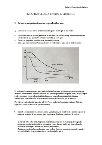 EXAMEN-FINAL-DE-TEORIA-PREG-CORTAS-ETC..pdf