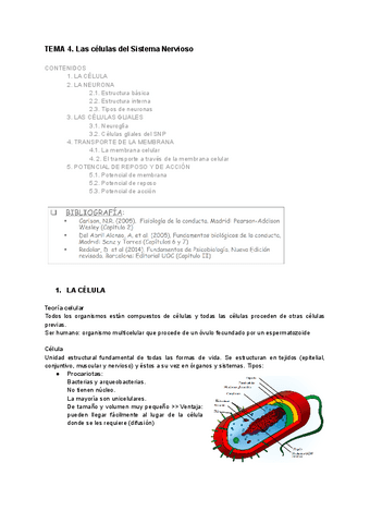 Tema-4-BIO.pdf