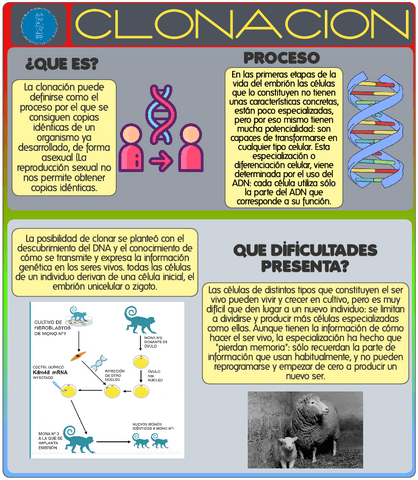 clonacion.pdf