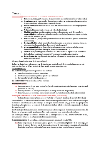 Sociedad de la Información . T1-T7.pdf