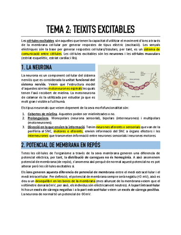 Tema-2-Teixits-Excitables.pdf