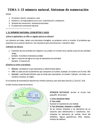 TEMA-1-BASES-DE-LAS-MATEMATICAS.pdf