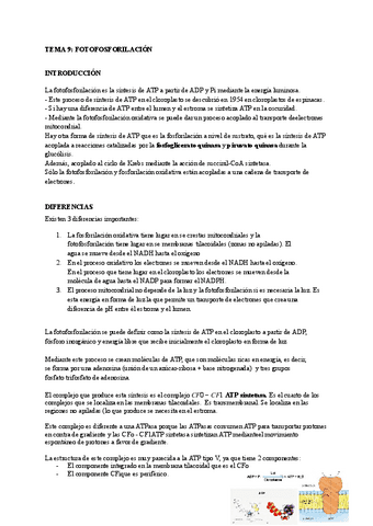 FV-TEMA-9.pdf
