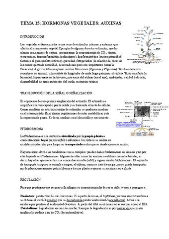 FV-TEMA-15.pdf