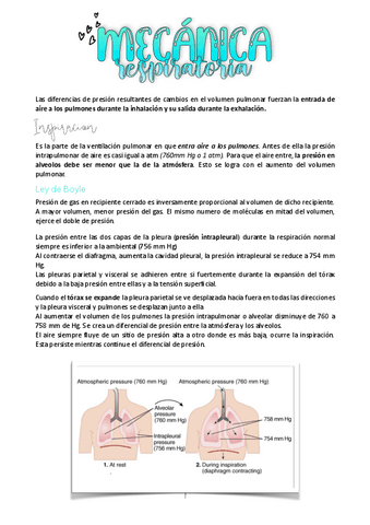 TEMA-3-modulo-III.pdf