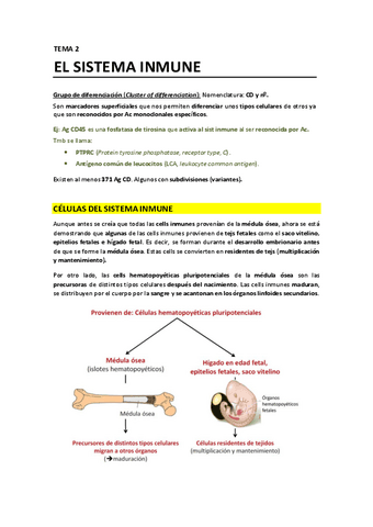 T2 - El sistema inmune.pdf