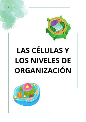 LAS-CELULAS-Y-LOS-NIVELES-DE-ORGANIZACION-repaso.pdf