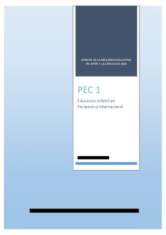PEC-1-EIPI.pdf