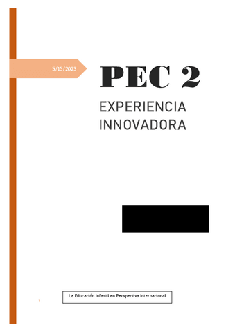 PEC2-EIPI.pdf