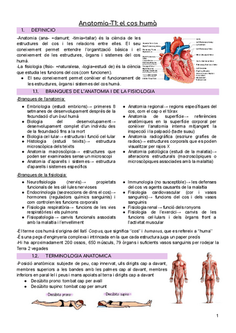 Anatomia-1r-sem.pdf