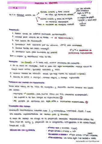 Resumen-practica-4.pdf