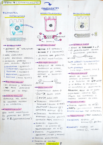 tema-789-citologia.pdf