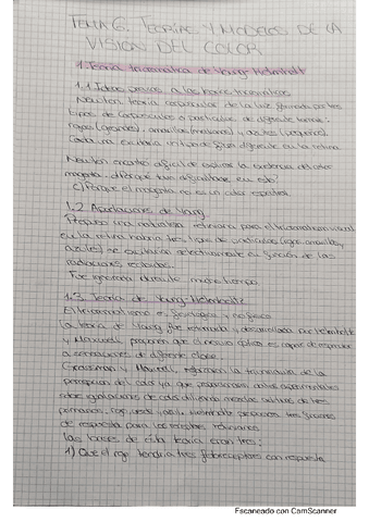 Tema-6.-Teorias-y-modelos-de-la-vision-del-color..pdf