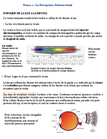 Tema-3-APM-Percepcion-visual.pdf