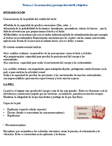 Tema-3-AMP-Percepcion-tactil-y-haptica.pdf