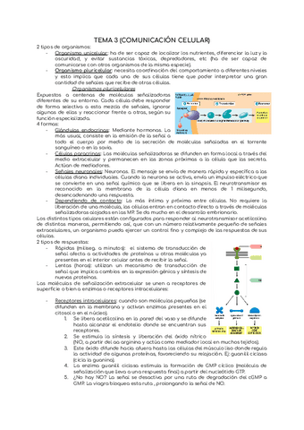 TEMA-3-COMUNICACION-CELULAR.pdf