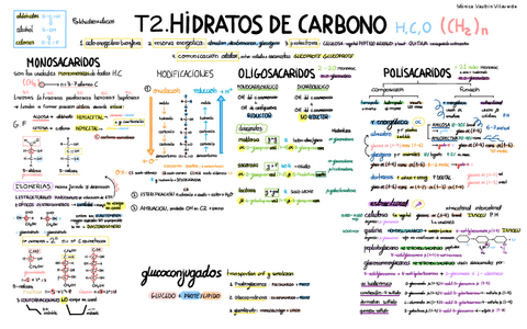Esquemas-bioquimica-cara-vista-T2-4.pdf