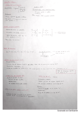 ALG - Formulario Definitivo.pdf