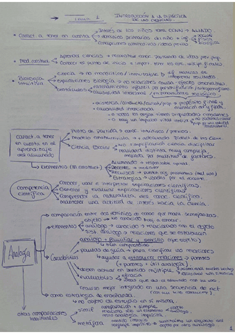 Tema-1-Mapa-conceptual-Ciencias-Experimentales-II.pdf