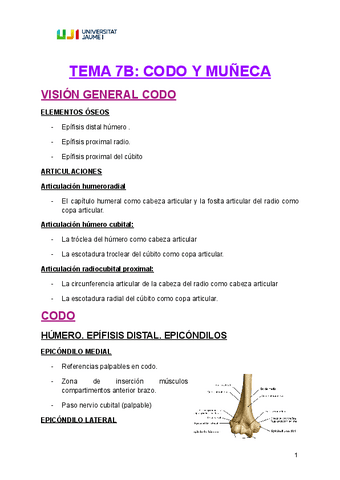 TEMA-7B.-CODO-Y-MUNECA.pdf