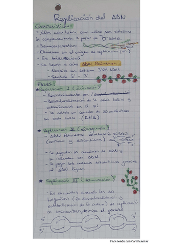 Esquema-Replicacion-Transcripcion-Traduccion.pdf