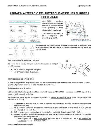 UNITAT-9-BQ.pdf