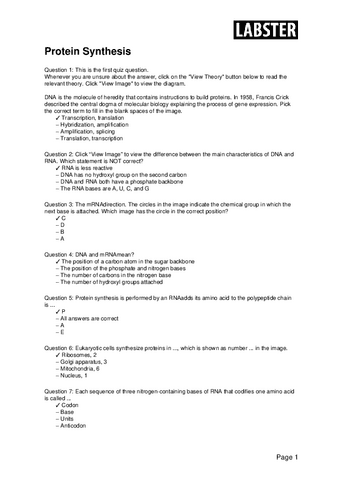 Questions-protein-synthesis.pdf