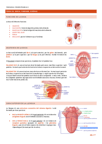 TEMA-31-BOCA-FARINGE-ESOFAG.pdf
