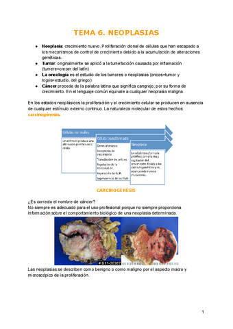 TEMA-6.-Neoplasias.pdf
