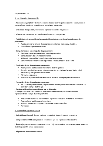 Esquema-Tema-10.pdf
