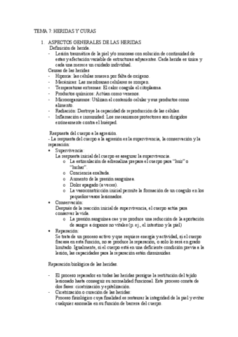 TEMA-7-BASES.pdf