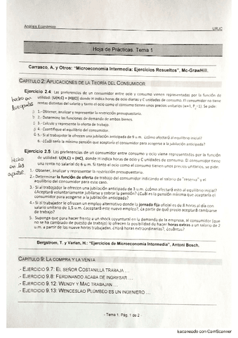 Ejs-Tema-1-Analisis-Micro.pdf