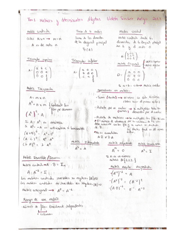 Tema-1-Algebra.pdf