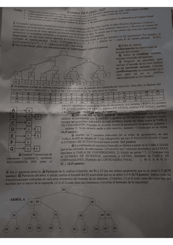 EXAMEN-JUNIO-2023-PED.pdf