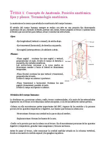 ANATOMIA-HUMANA..pdf