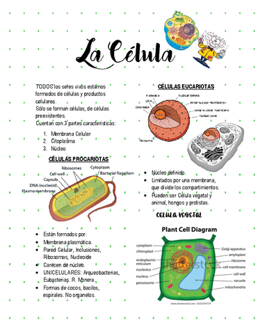 LAS-CELULAS.pdf