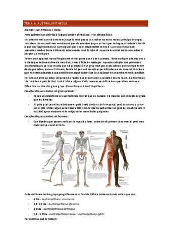 AUSTRALOPITHECUS.pdf