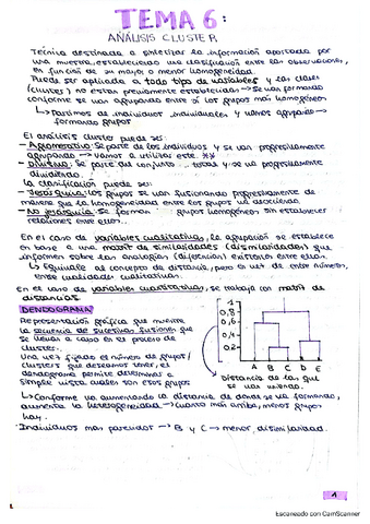 Tema-6-Analisis-cluster.pdf