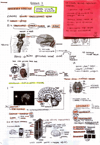 BLOQUE-3-PSICOFISIO.pdf