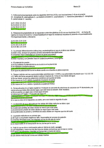 modelo-examen-resuelto.pdf