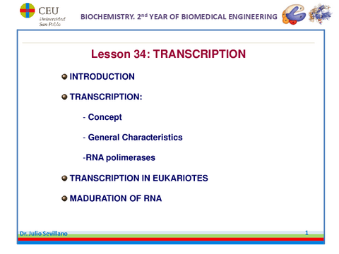 tema-34-TRANSCRIPCION.pdf