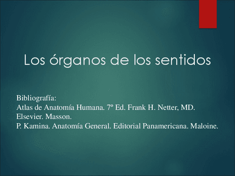 HYD-7-Los-organos-de-los-sentidos-21.22.pdf