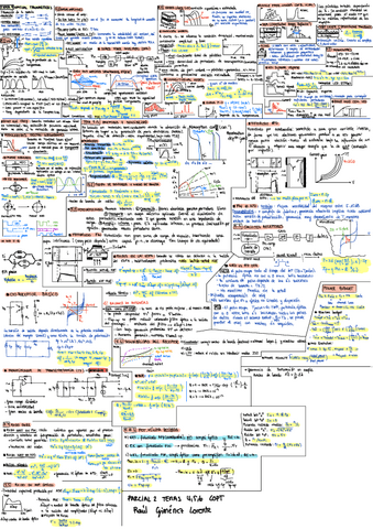 CHULETA-PARCIALES-COPT.pdf