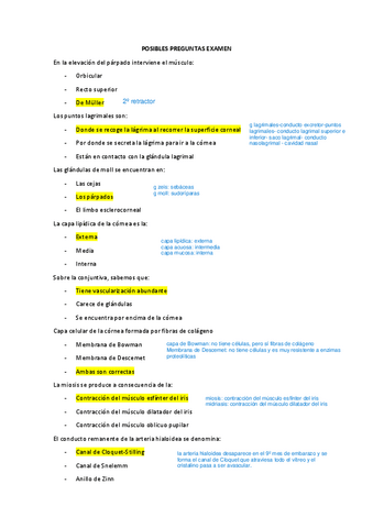 POSIBLES-PREGUNTAS-EXAMEN-FSV-CON-ANOTACIONES.pdf