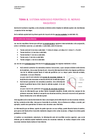 TEMA-8.-ANATOMIA-I.pdf