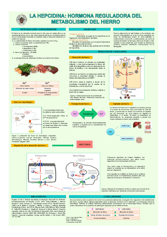 EKG-PATOLOGIA-ISQUEMICA.pdf