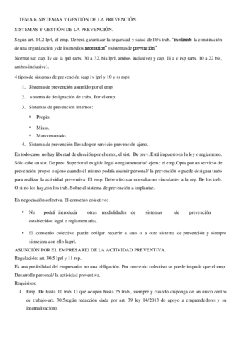 TEMA-6.-SISTEMAS-Y-GESTION-PRL.pdf