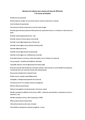 Resumen-examen-de-fotos-de-APG-junio-2023.pdf